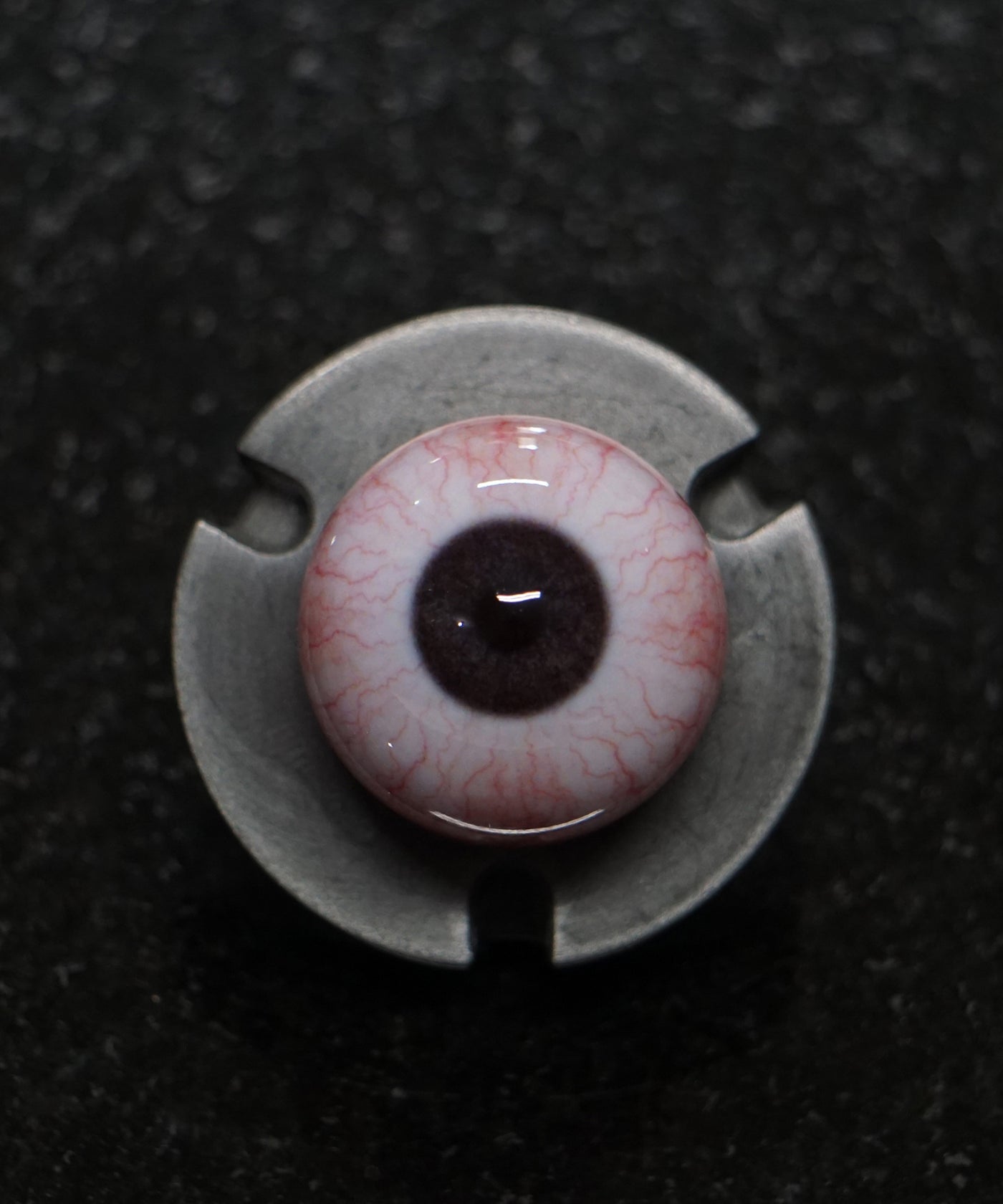 Camera Ready Eyes - Dark Brown