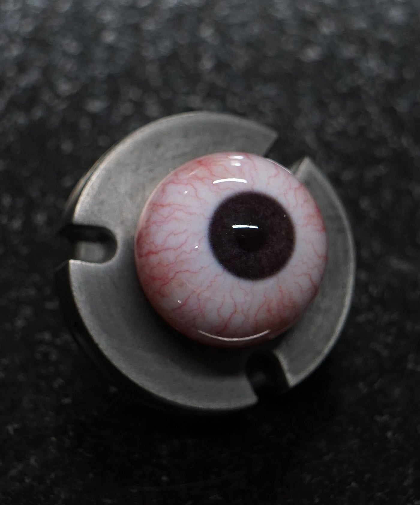 Camera Ready Eyes - Dark Brown