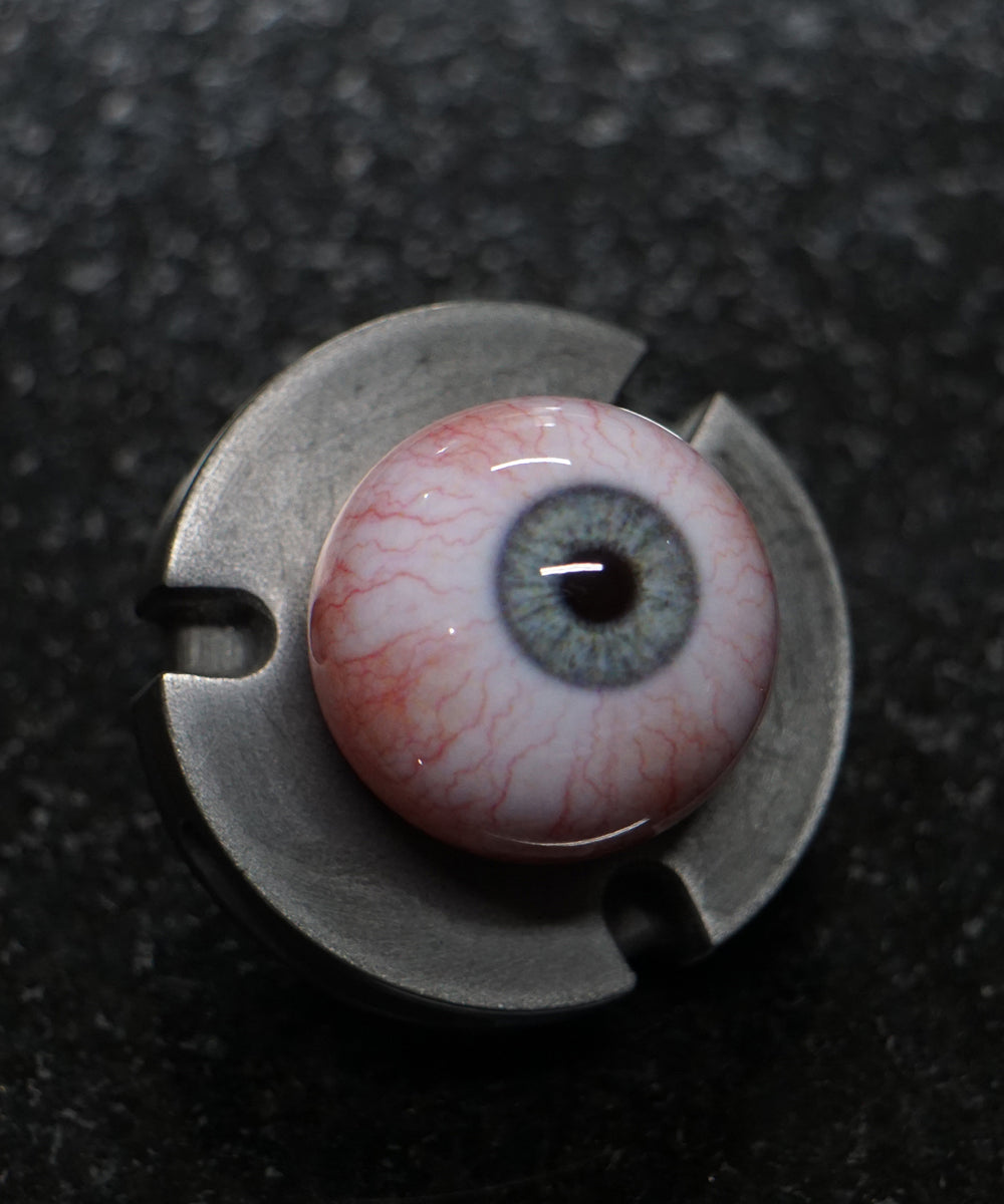 Camera Ready Eyes - Eucalyptus