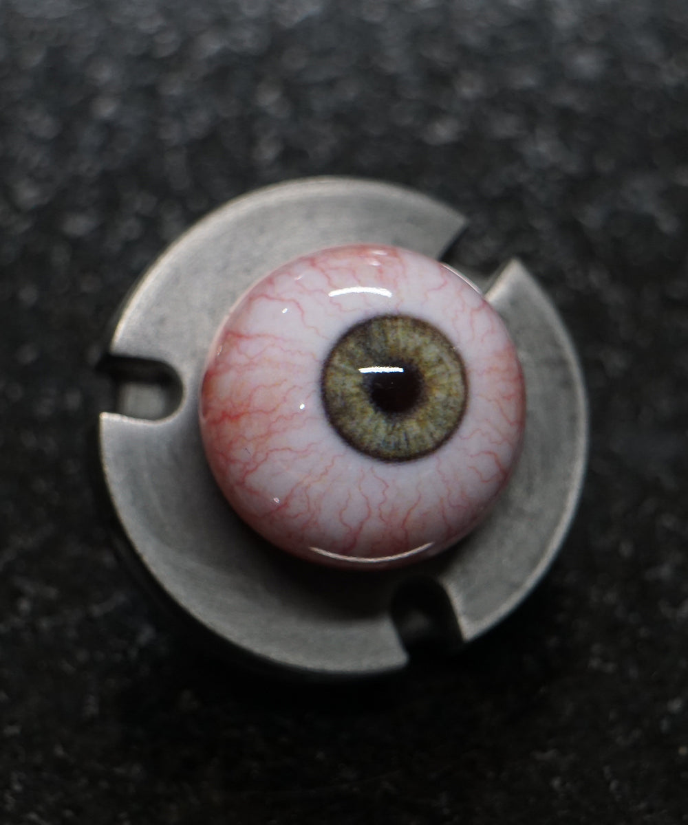 Camera Ready Eyes - Fern Green