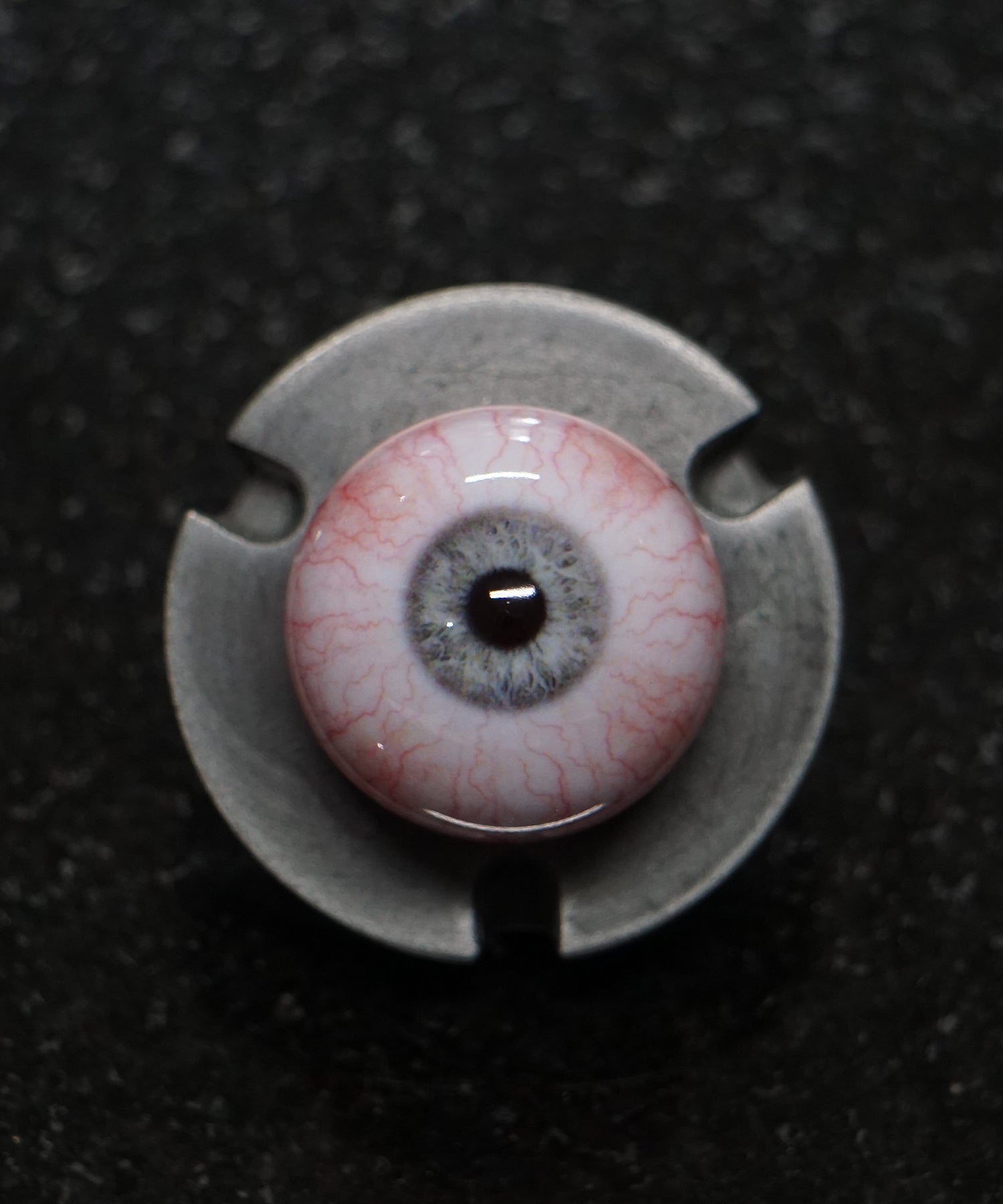 Camera Ready Eyes - Slate