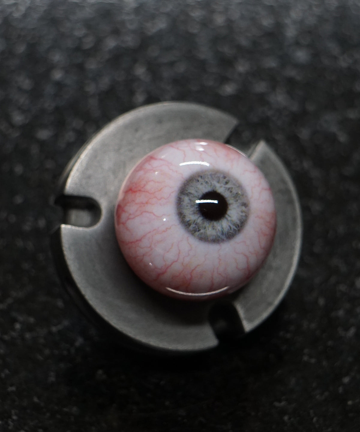 Camera Ready Eyes - Slate