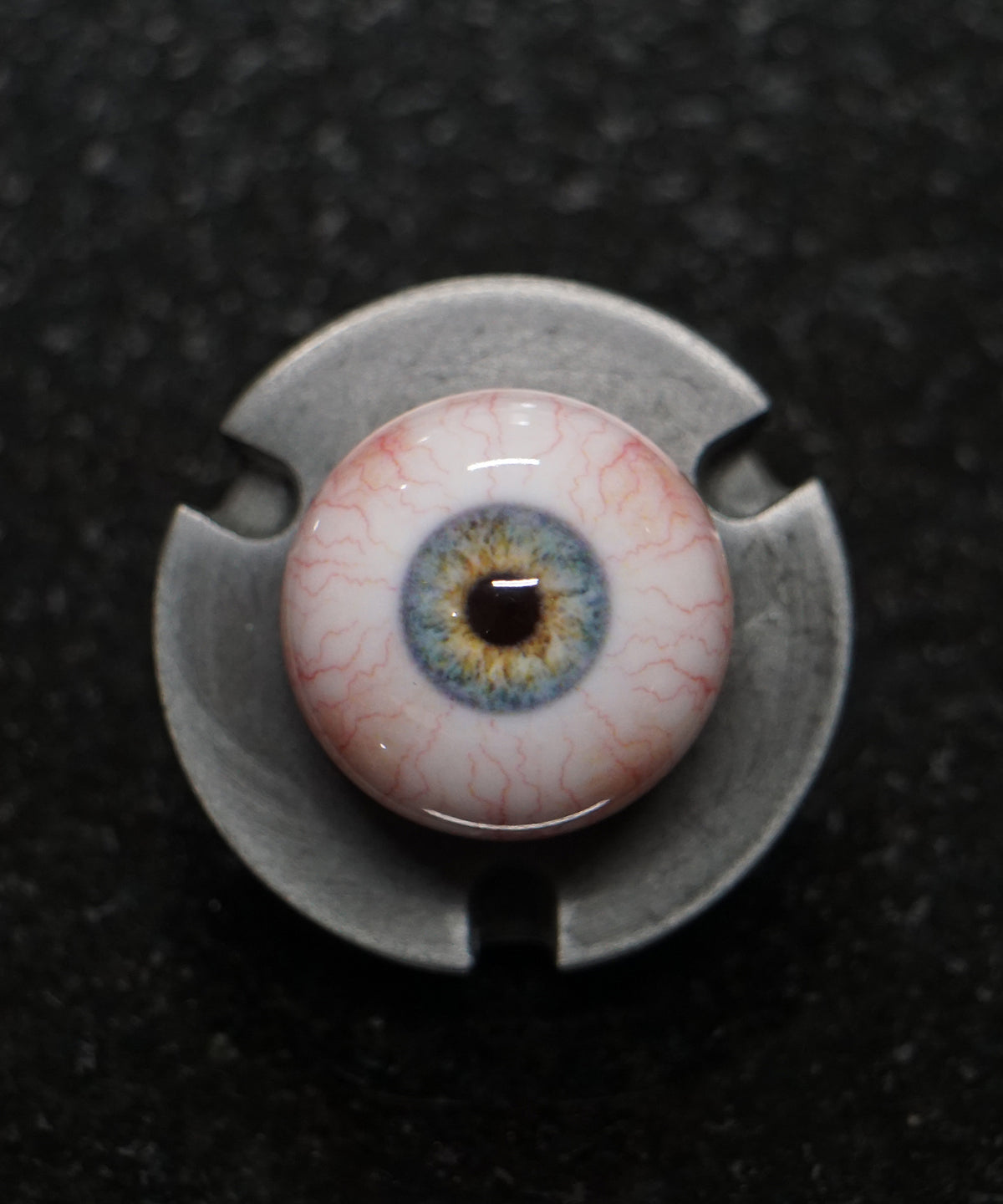 Standard Eyes - Coastal